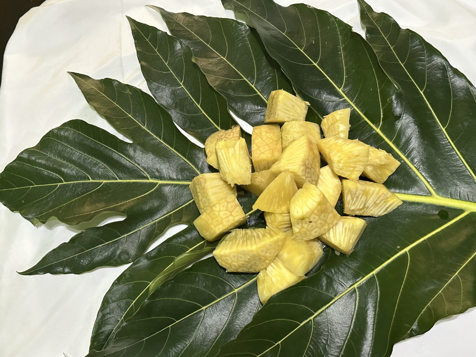 Products | Breadfruitonline