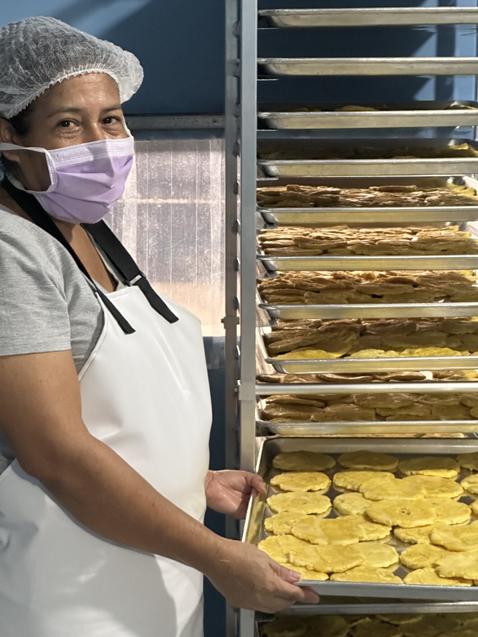 Products | Breadfruitonline